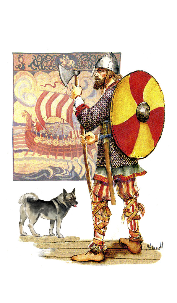 Viking T-shirt long sleeved dri-fit | Nordic Folklore